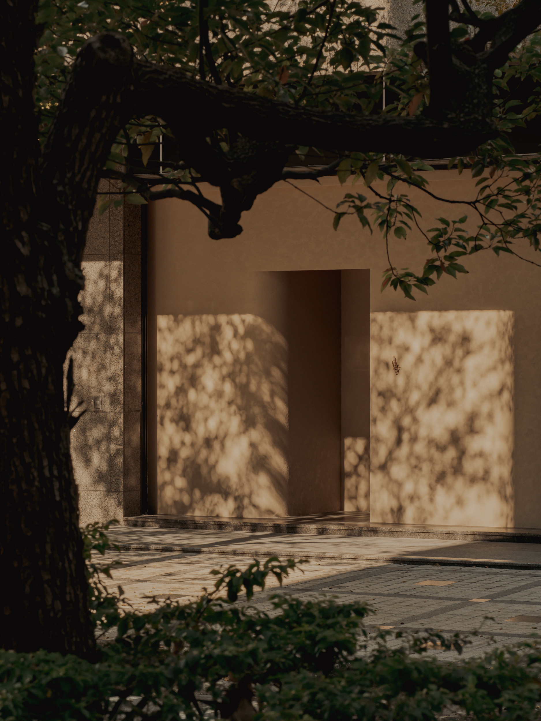 LOGY | KEIJI ASHIZAWA DESIGN